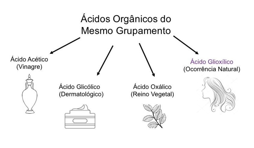ÁCIDO GLIOXÍLICO – MITOS E VERDADES